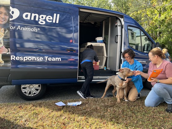 MSPCA-Angell (@MSPCAAngell@mastodon.boston) - Mastodon.Boston