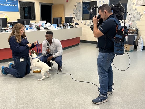 MSPCA-Angell (@MSPCAAngell@mastodon.boston) - Mastodon.Boston